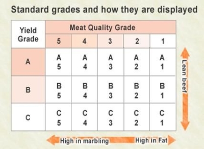 Features of Japan Wagyu Grading method for steaks